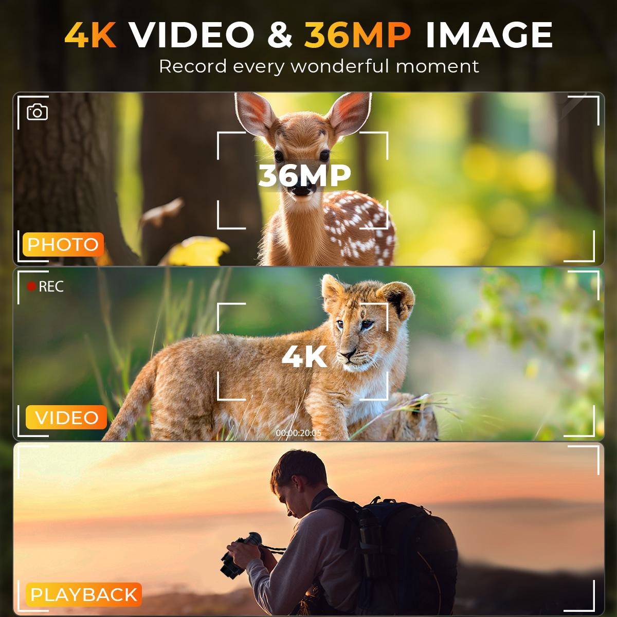 Binocoli Per Visione Notturna 4K 3D 8X 32G - K&F Concept