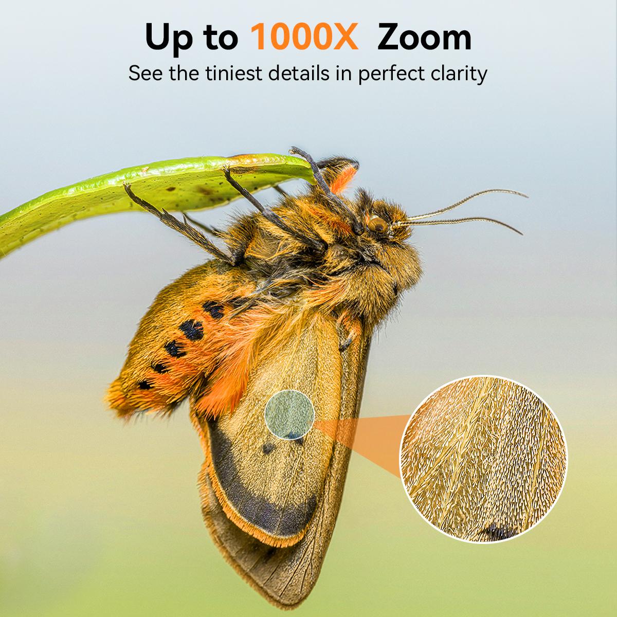 4.3" LCD digital microscope, 50X-1000X magnification, USB microscope ...