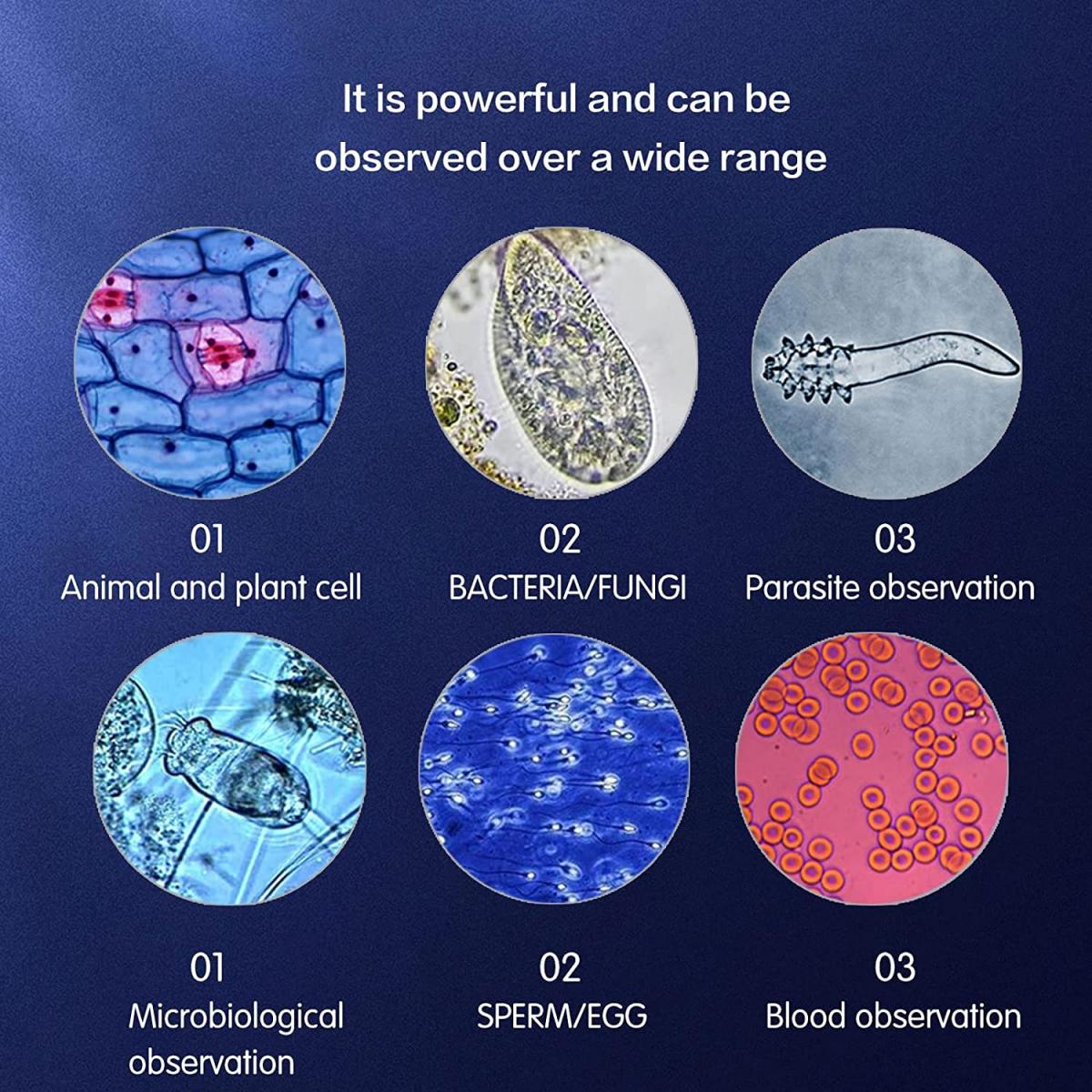 Microscope Trinoculaire - KENTFAITH