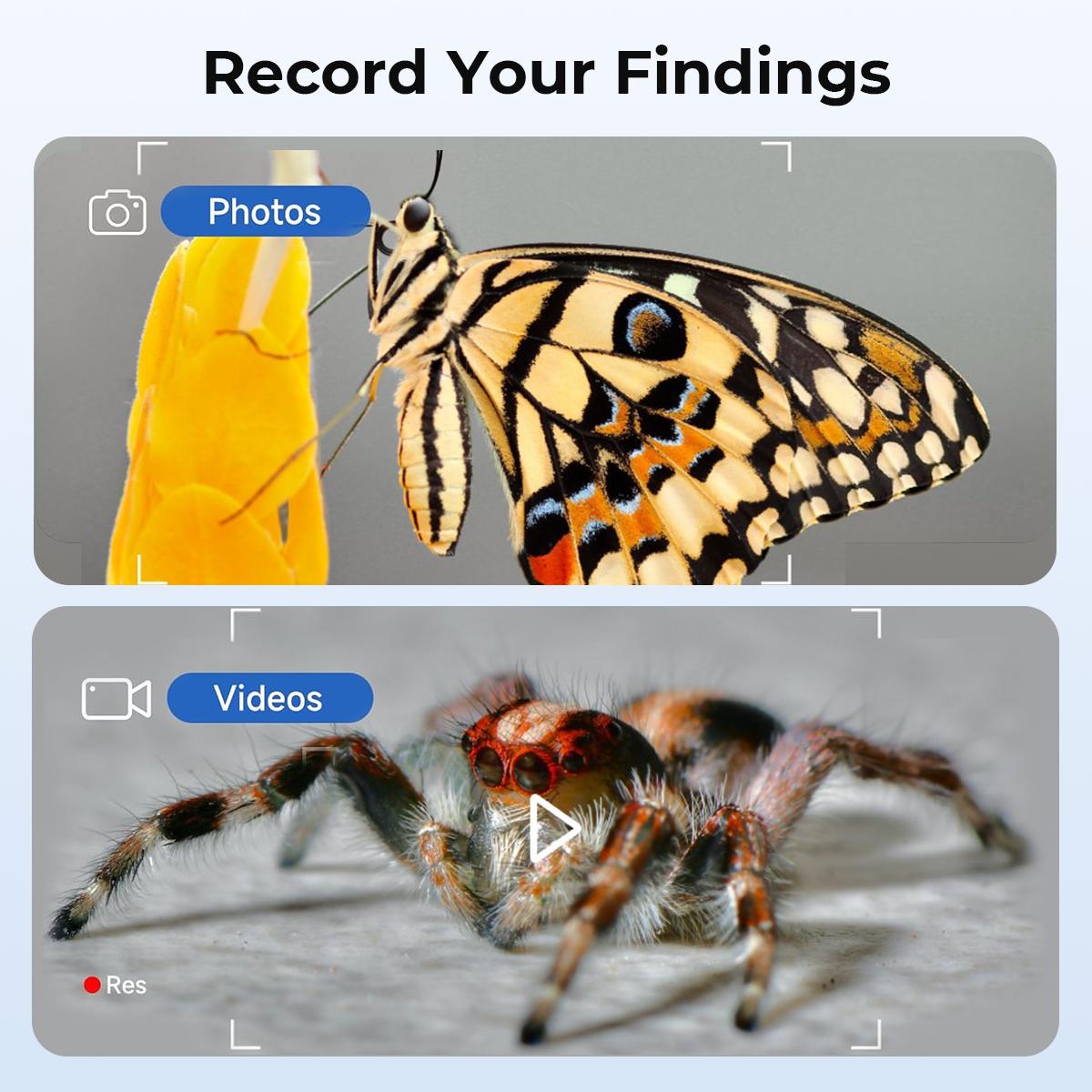 Handheld Digital Microscope 1000X - K&F Concept