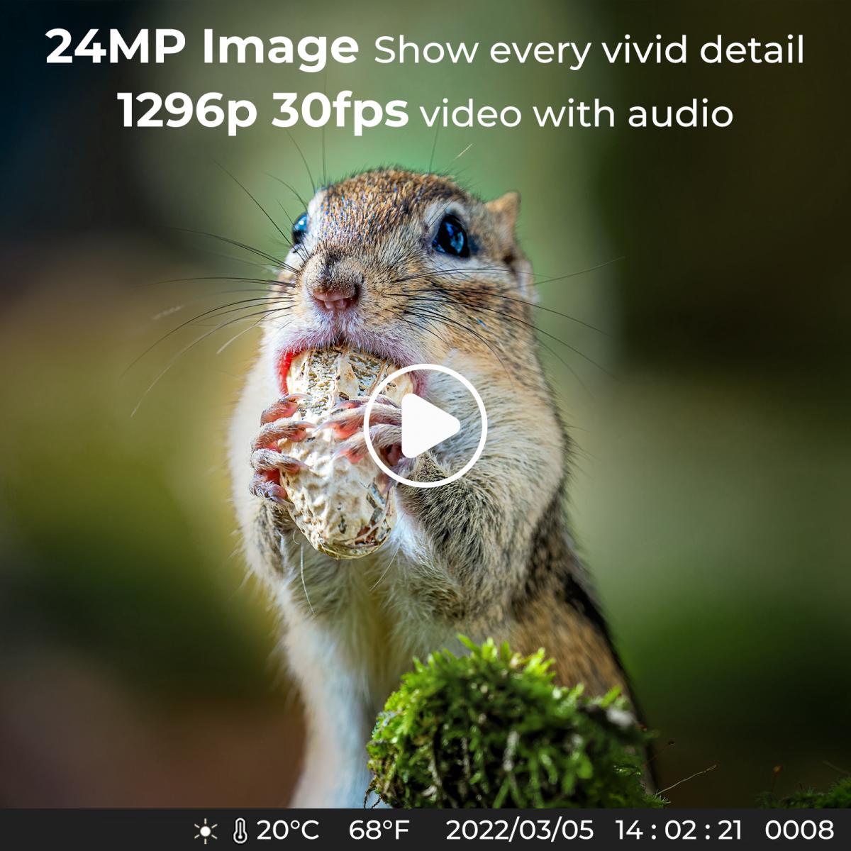 Home Wildlife Camera 0.2S 24Mp 1296P Ip66 K&F Concept - K&F Concept