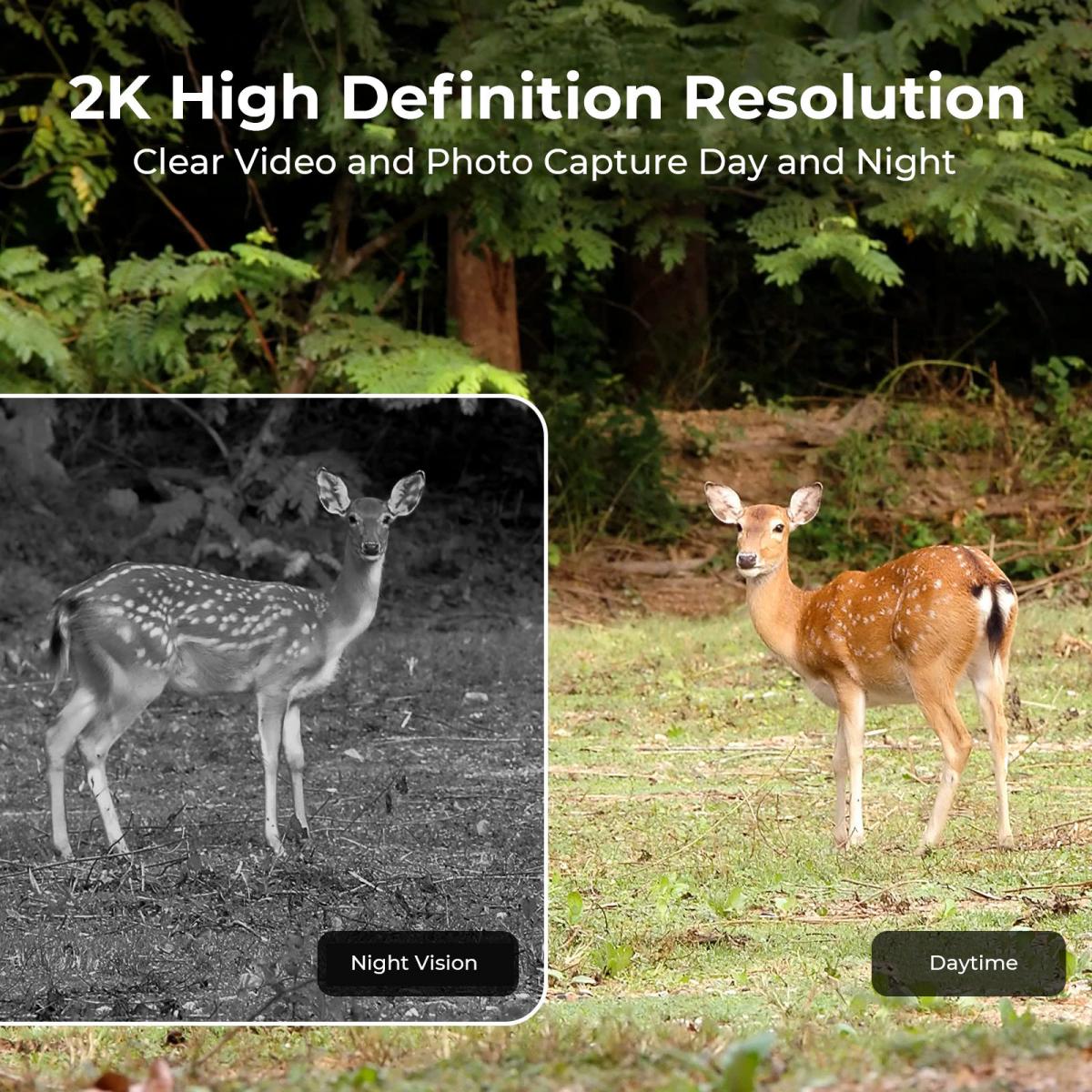 Die Beste 4G LTE Wildkamera Solar und Batteriebetrieben 2K HD 0.2s Schnelle Trigger ...